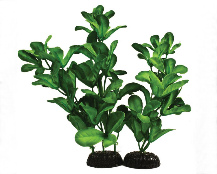 Fish Decor – Snuffle and Swim